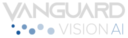 vanguard-vision
